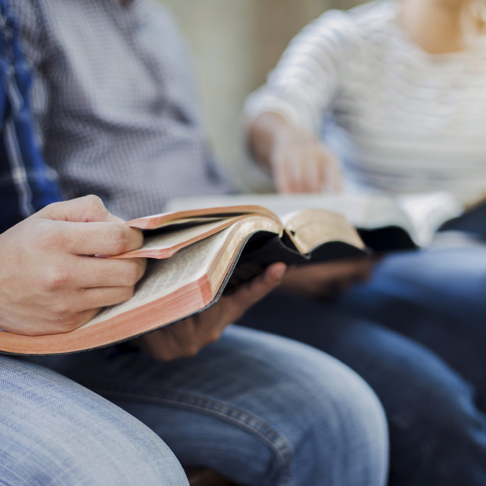 Get Started | Made To Multiply